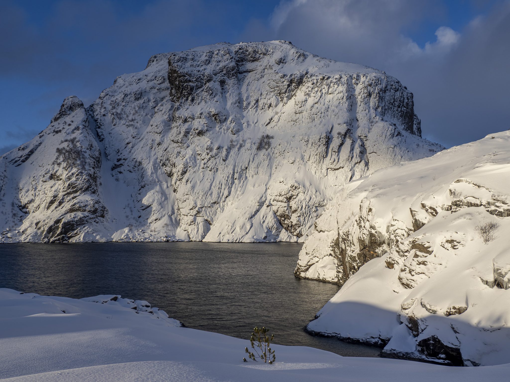Lofoten vinter – Claes Grundsten